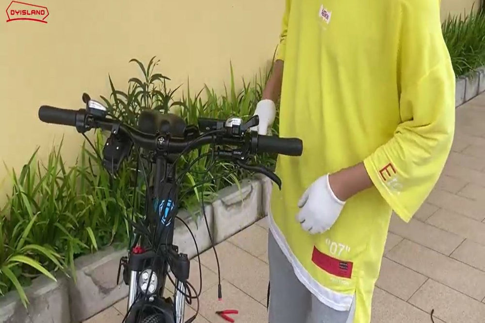 Product Information C29